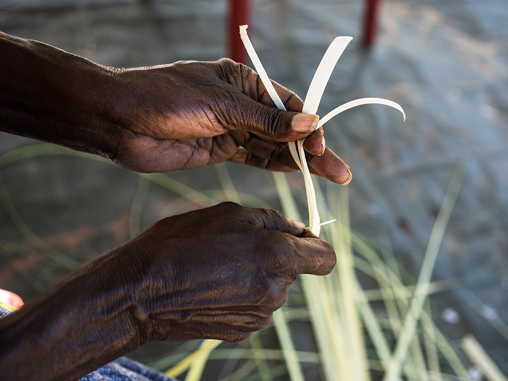 Tarntipi Bush Camp – Tiwi Cross Cultural Connections